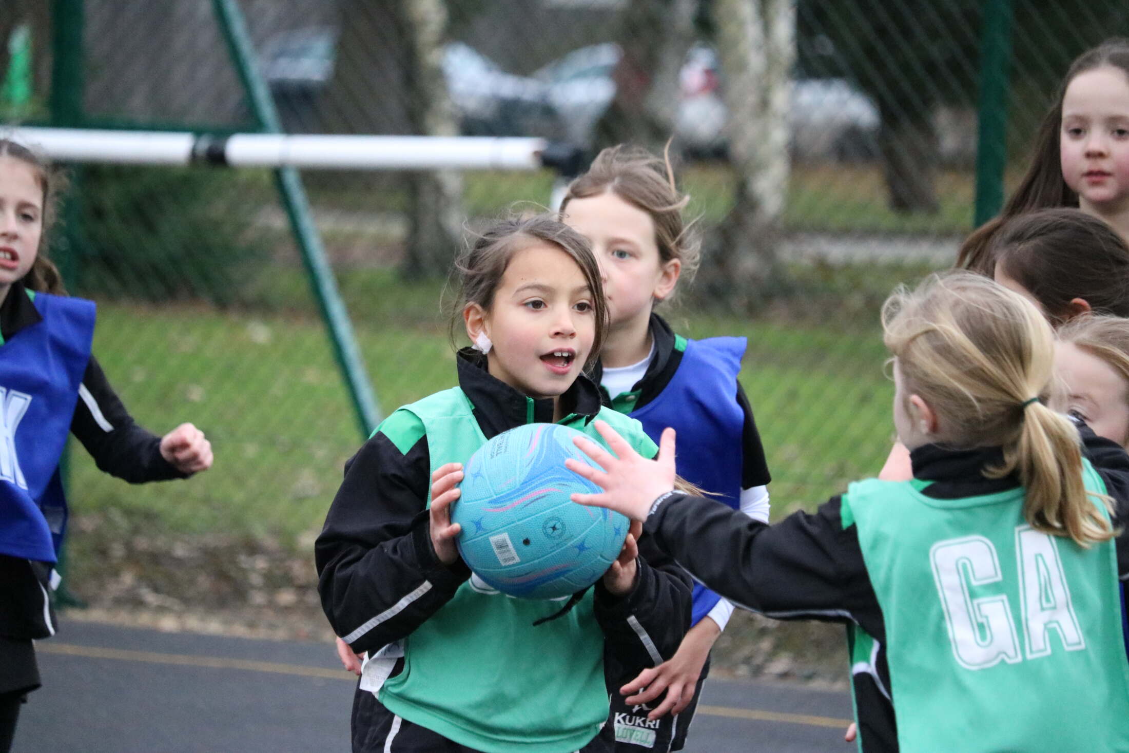 What's the Difference? - Stover School